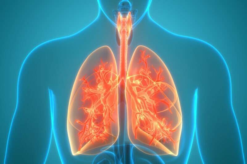 The Respiratory Microbiome: What You Need to Know