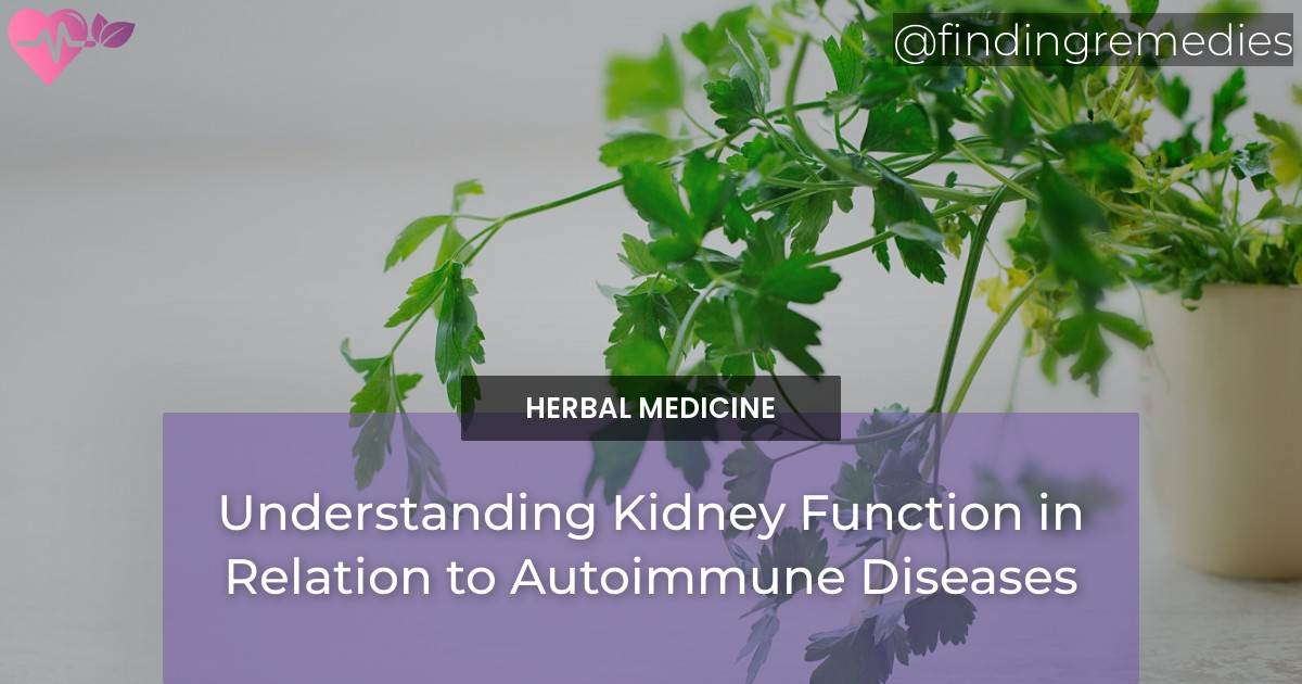 Understanding Kidney Function in Relation to Autoimmune Diseases
