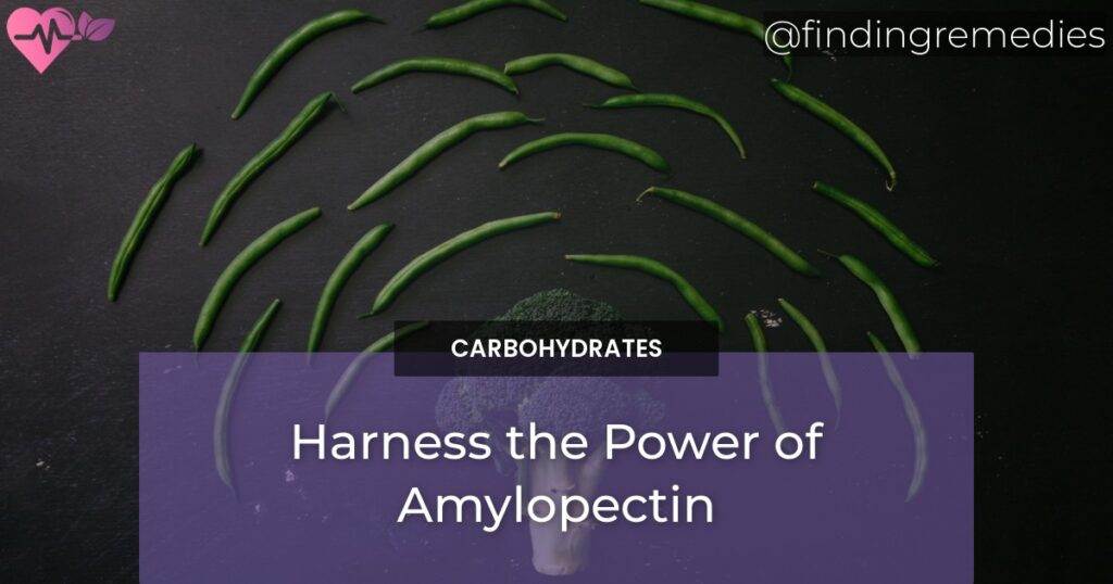 Harness the Power of Amylopectin