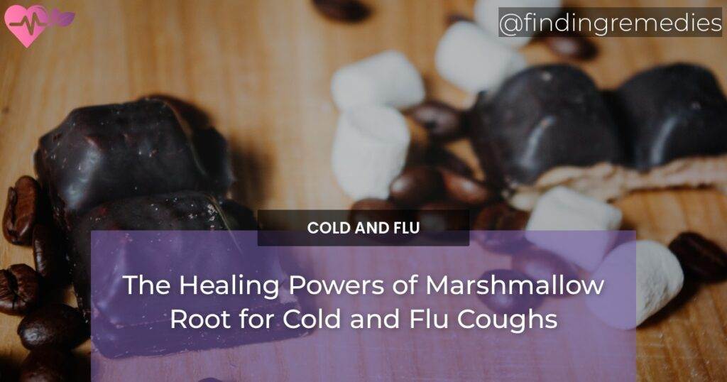 The Healing Powers of Marshmallow Root for Cold and Flu Coughs