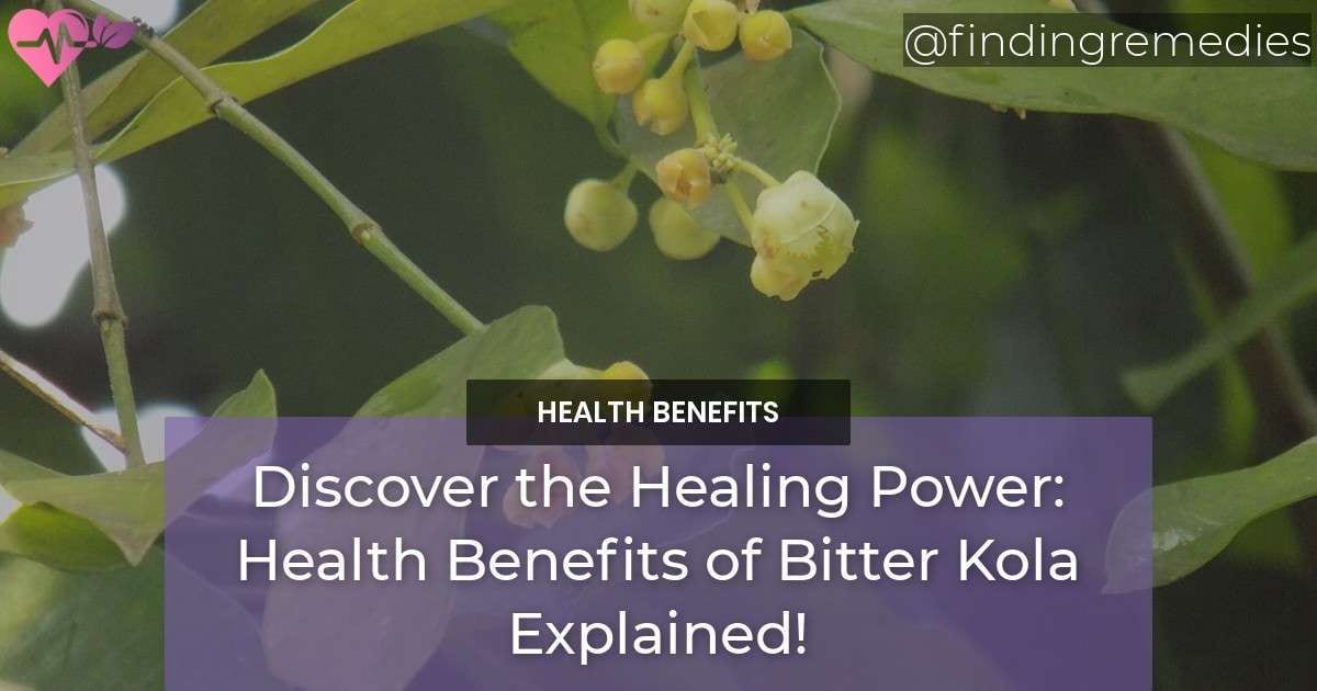 Discover the Healing Power: Health Benefits of Bitter Kola Explained!