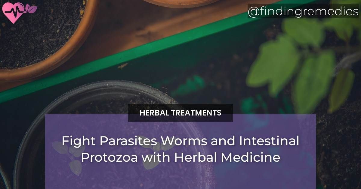 Herbs for Fighting Parasitic Infections: Fight Parasites Worms and ...