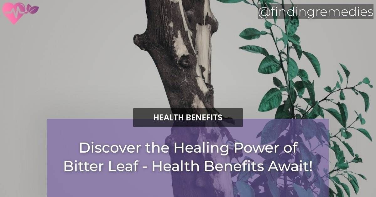 Discover the Health Benefits of Bitter Leaf - Healing Powers Await!