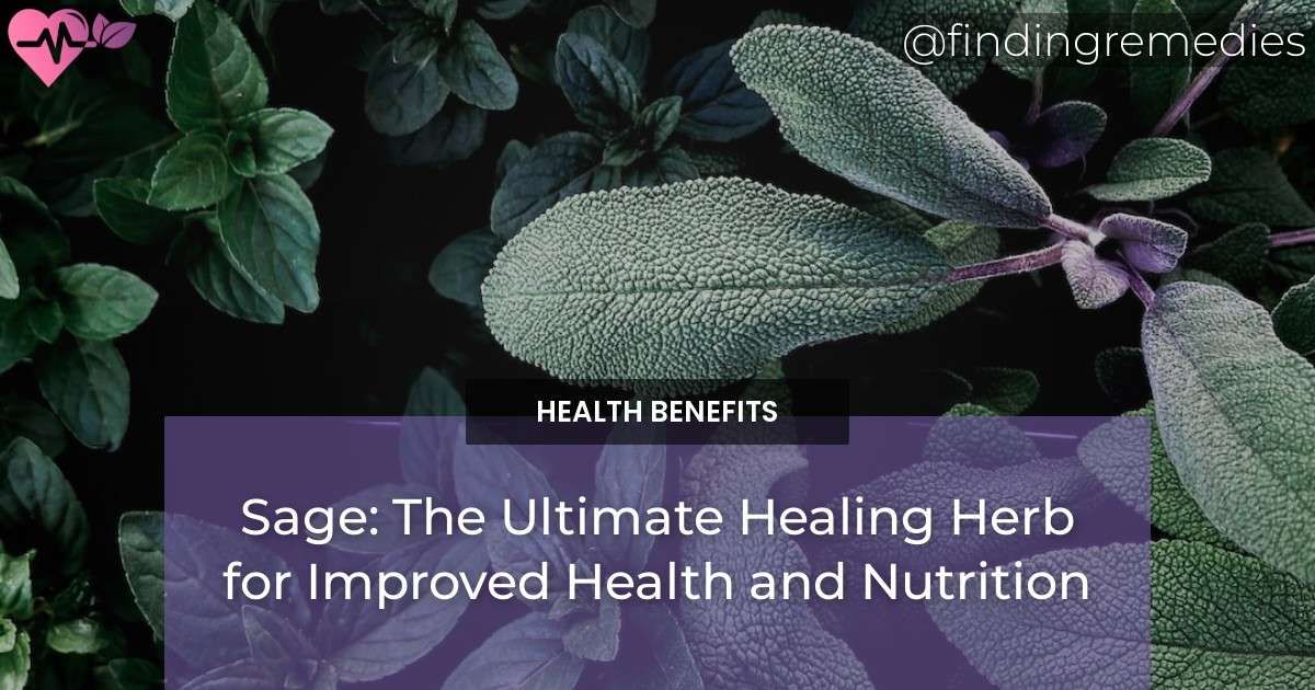Health Benefits of Sage: The Ultimate Healing Herb for Improved Health ...