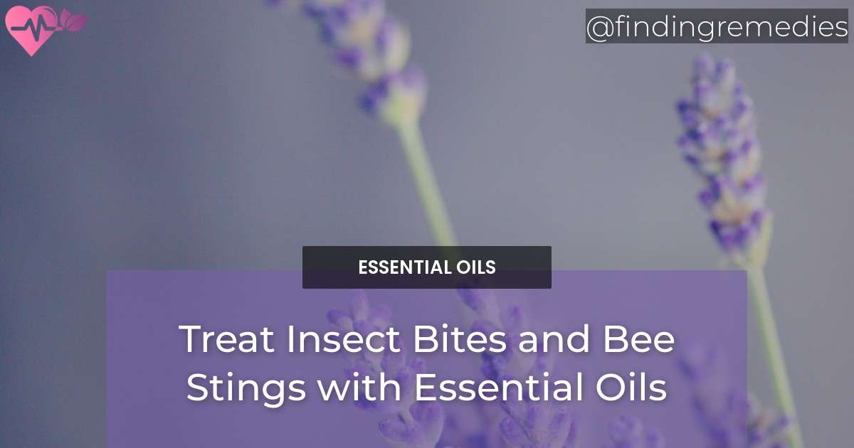 Best Essential Oils for Insect Bites and Bee Stings